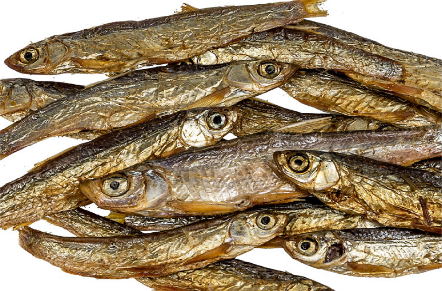Dried Fish Wholesale for pets - Kessler GmbH